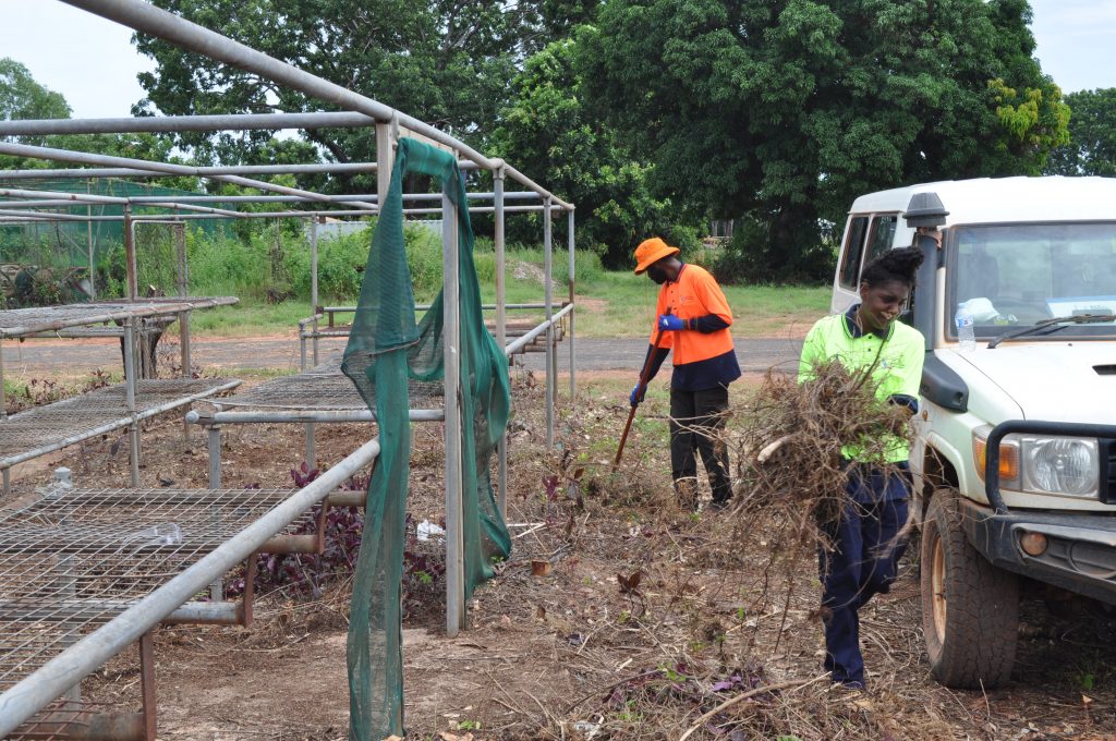 Sowing the seeds for farm’s future - Community Owned Enterprises