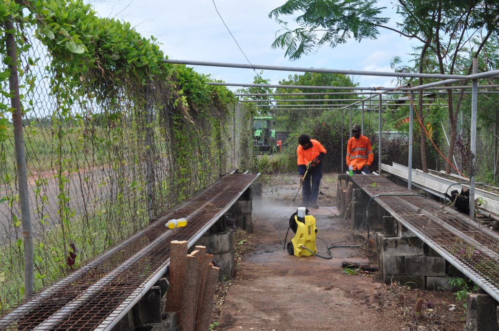 Sowing the seeds for farm’s future - Community Owned Enterprises